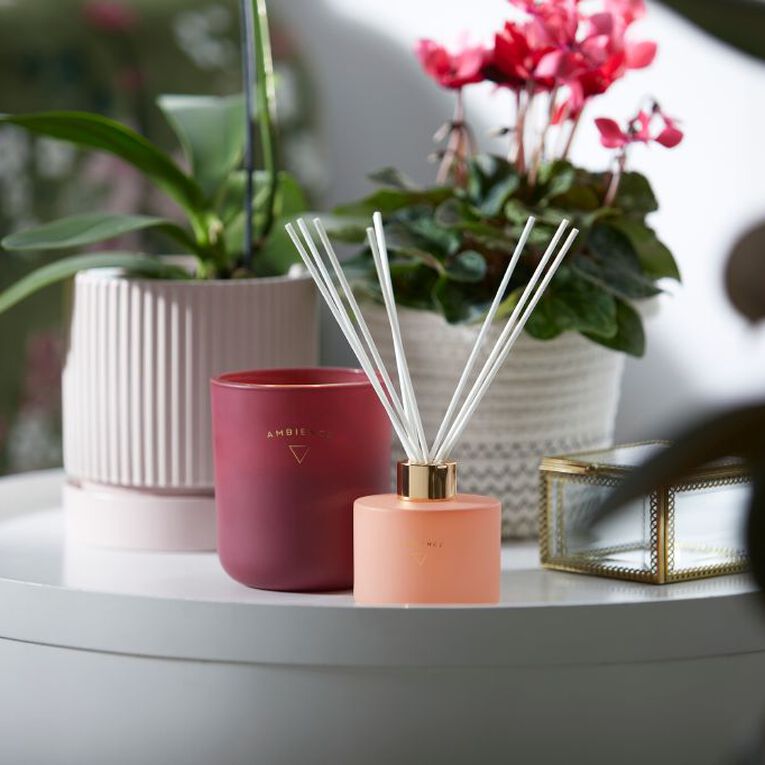 Living & Co Ambience Diffuser 120ml Citrus Grove 120ml Orange Light ...