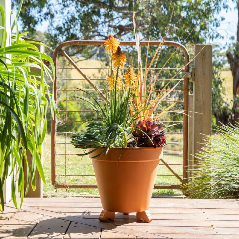Northcote Terracotta 33cm Standard Pot | The Warehouse