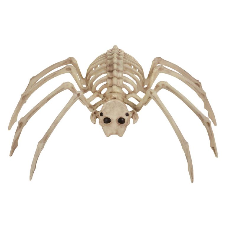 Seasons Skeleton Spider 35cm | The Warehouse