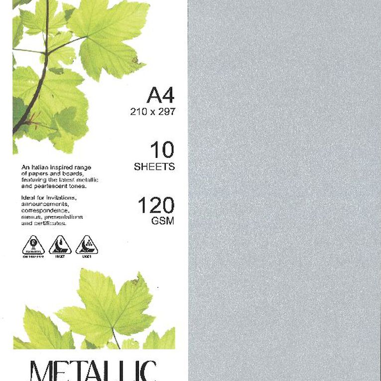 Direct Paper Metallic Paper 120gsm Silver A4 10 Pack Silver | The Warehouse