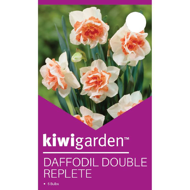 Kiwi Garden Daffodil Double Replete 5 Pack | The Warehouse