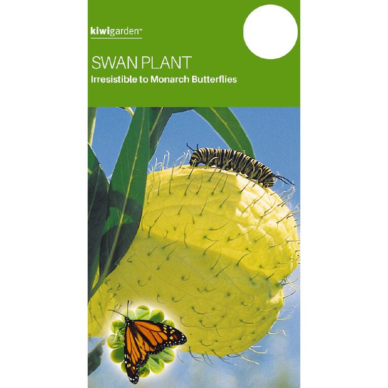 Kiwi Garden Swan Plant Seeds | The Warehouse