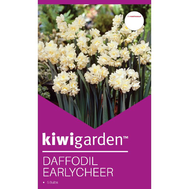 Kiwi Garden Daffodil Early Cheer 5 bulbs | The Warehouse