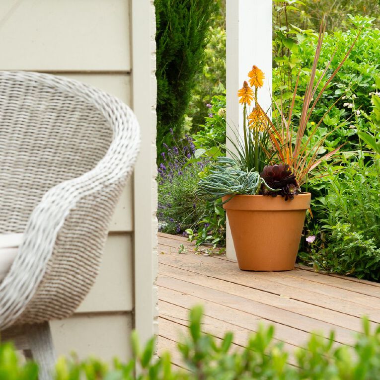 Northcote Terracotta 33cm Standard Pot | The Warehouse