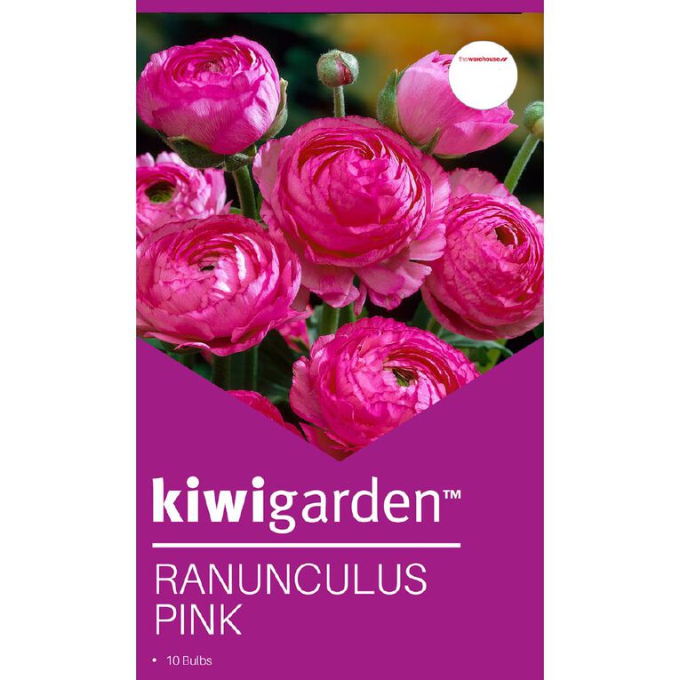 Kiwi Garden Ranunculus Pink 10 bulbs | The Warehouse