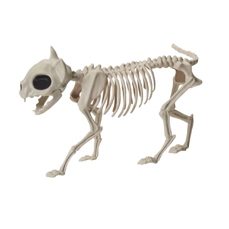 Seasons Skeleton Cat 19cm | The Warehouse