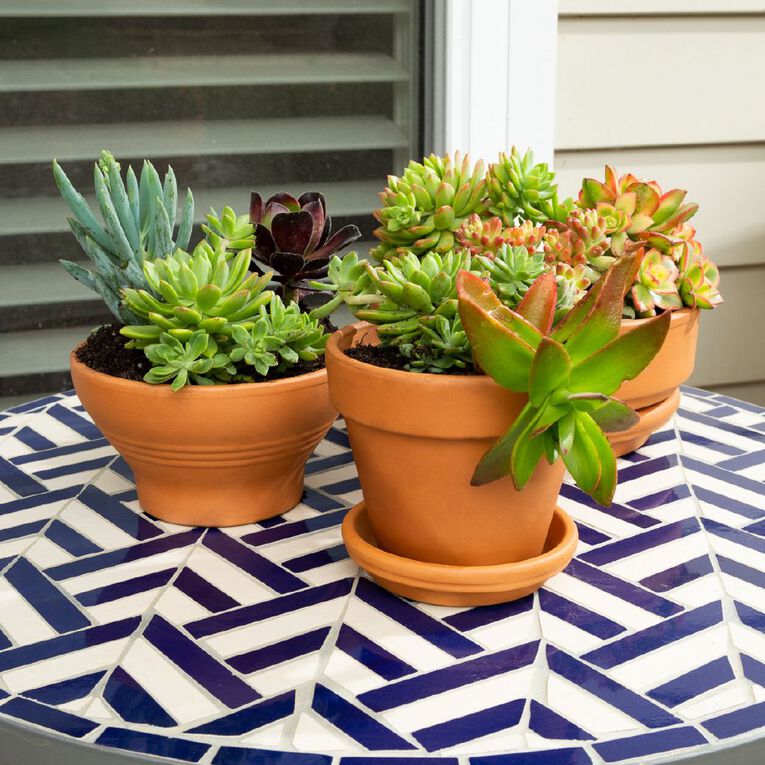 Northcote Terracotta 33cm Standard Pot | The Warehouse