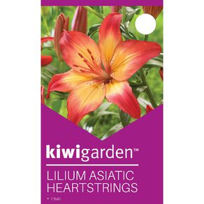 Flower Bulbs For Home Garden