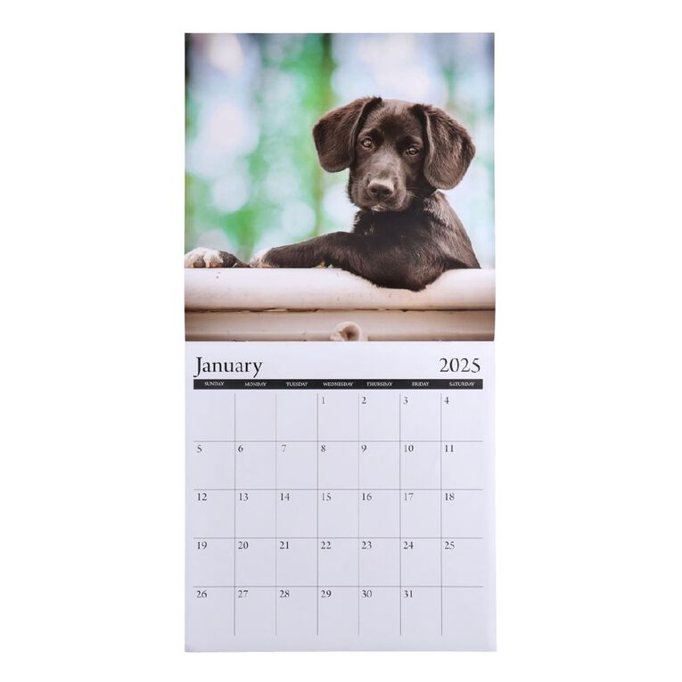 WS Calendar 2025 Puppies 29cm x 29cm Square | The Warehouse