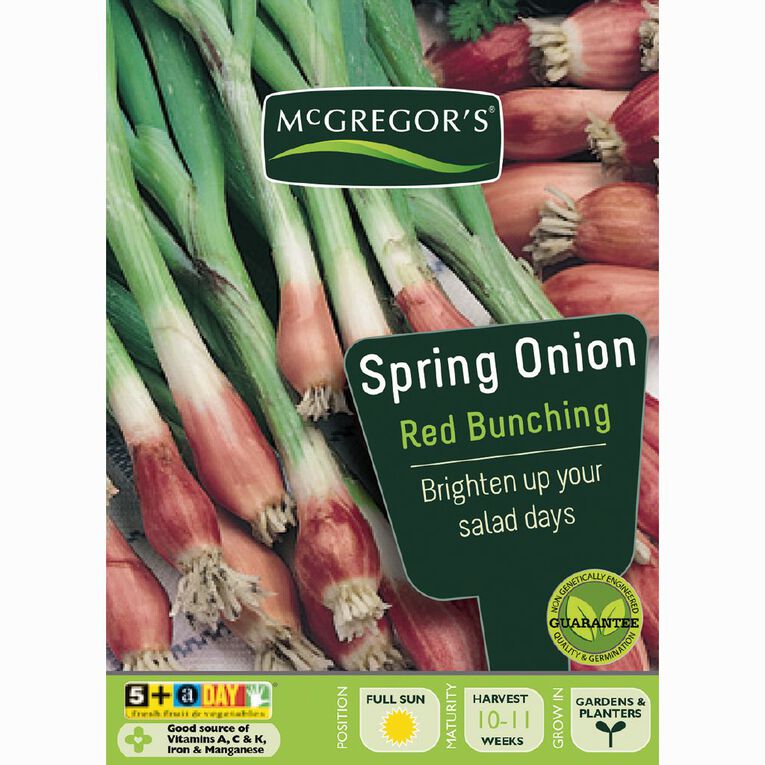 McGregor's Red Bunching Spring Onion Vegetable Seeds | The Warehouse