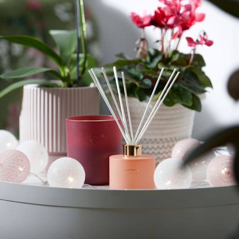 Living & Co Ambience Diffuser 120ml Citrus Grove 120ml Orange Light ...