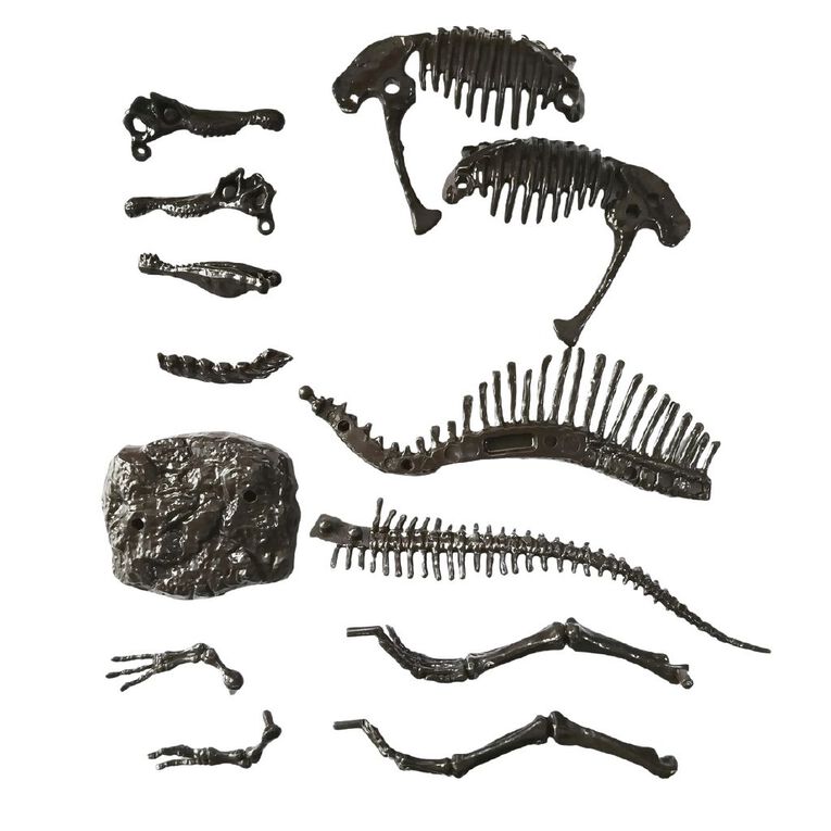 Play Studio Mini Dinosaur Fossil Kit Assorted Assorted | The Warehouse