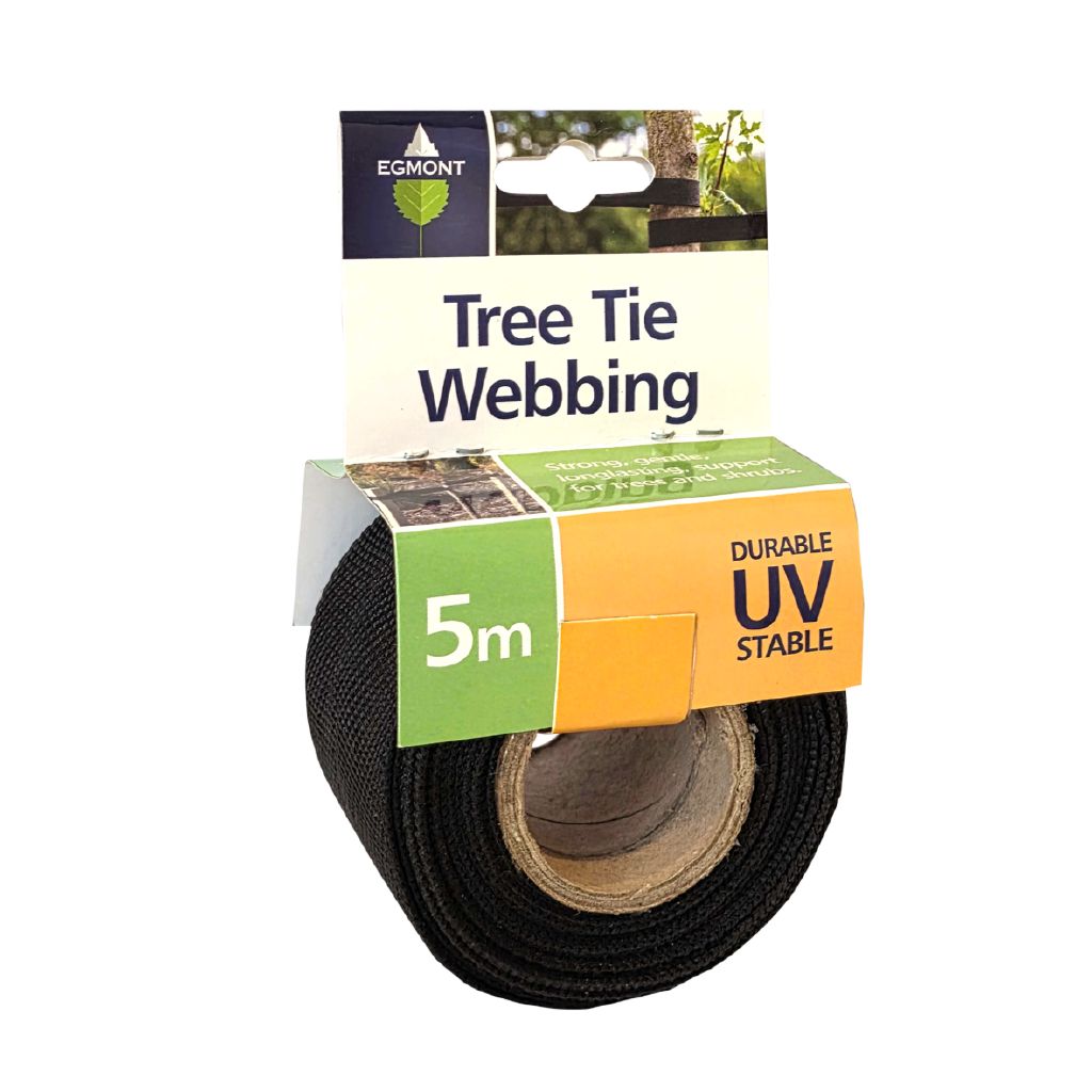 Egmont Tree Tie Webbing 5m | The Warehouse