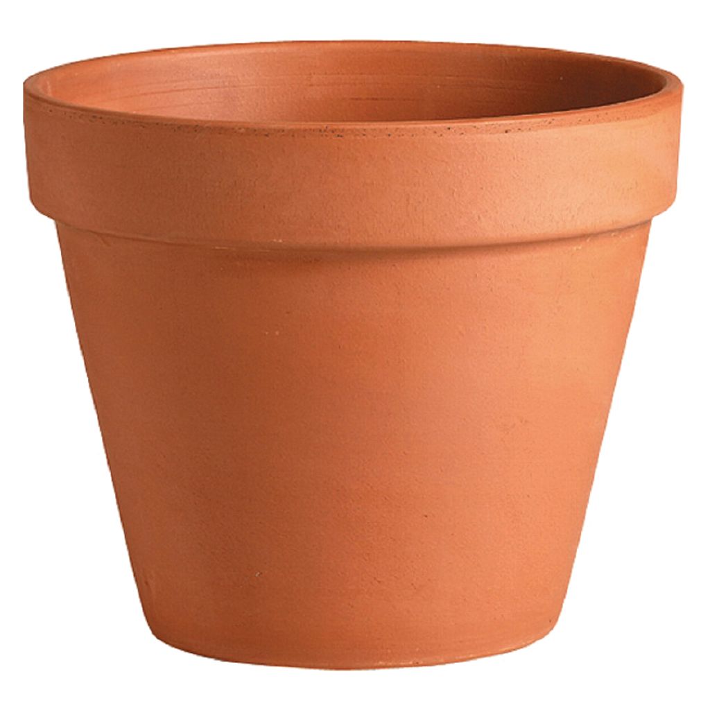 Deroma Terracotta Pot 11cm | The Warehouse