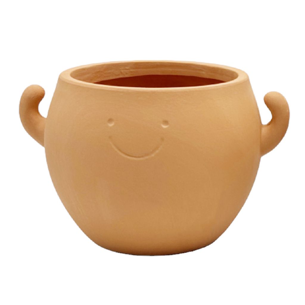 Kiwi Garden Lovely Pot Assorted Assorted | The Warehouse