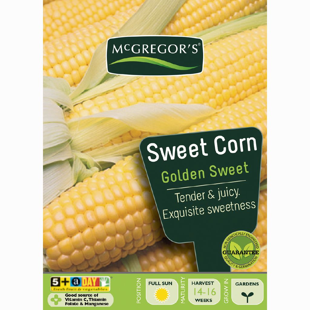 McGregor's Golden Sweet Corn Vegetable Seeds | The Warehouse