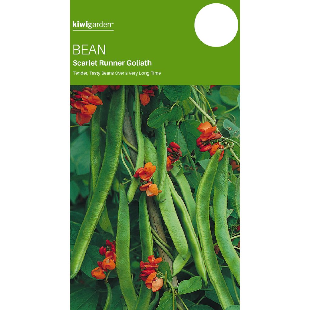 Kiwi Garden Bean Scarlet Runner Goliath Seeds | The Warehouse