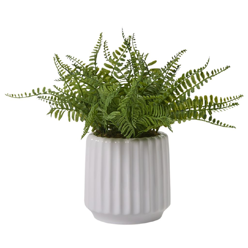 Living & Co Artificial Fern in Pot | The Warehouse