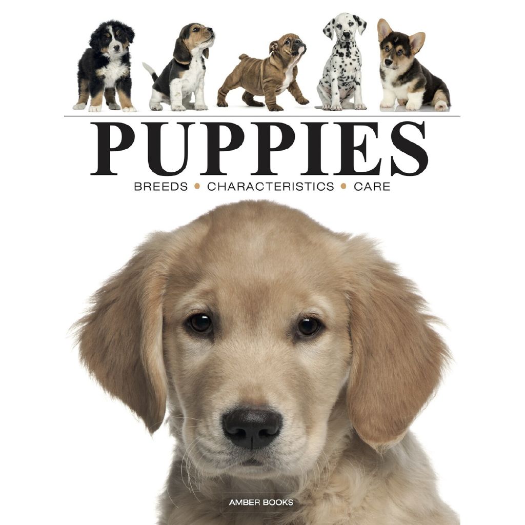 Mini Edition Puppies | The Warehouse