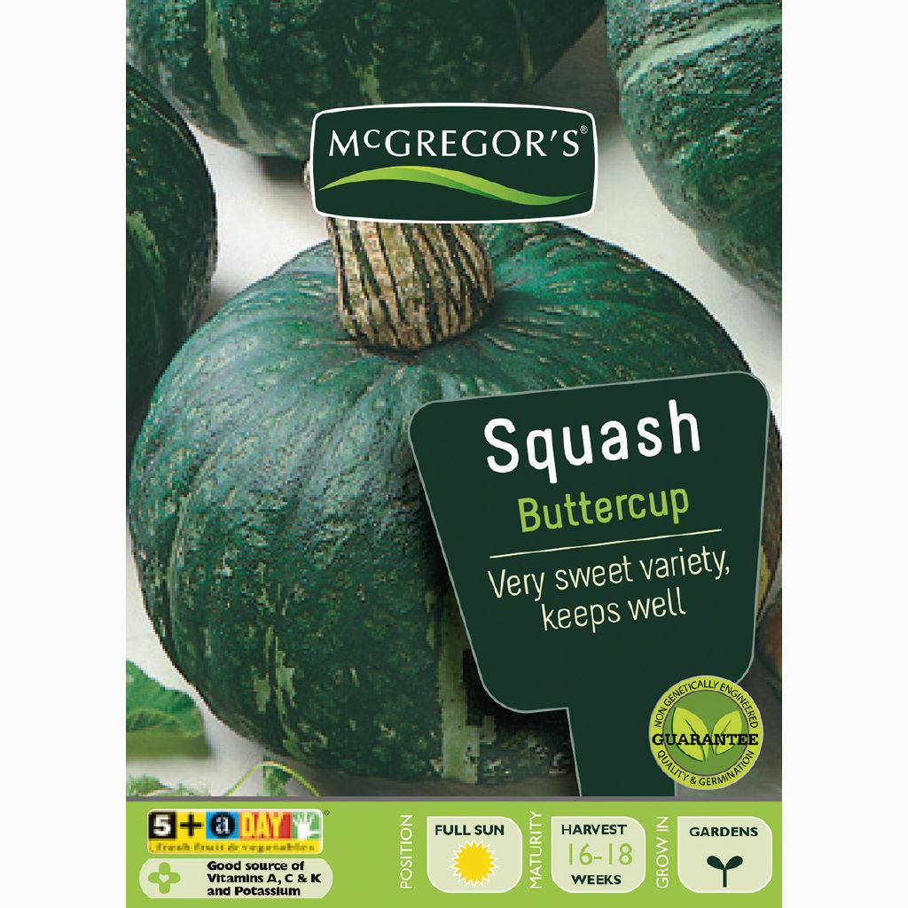 McGregor's Squash Buttercup Vegetable Seeds | The Warehouse