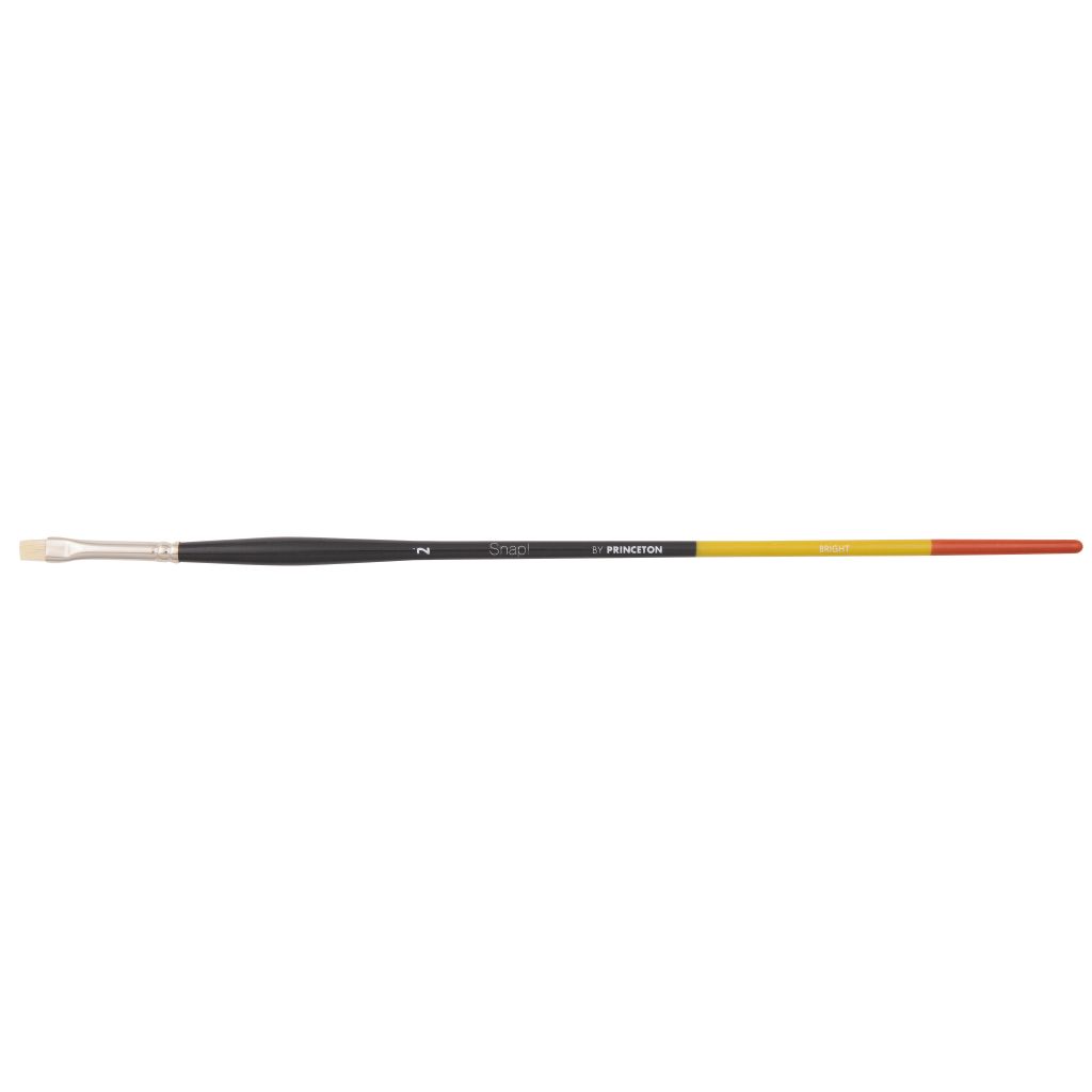 Princeton Snap Brush Long Handle Bristle Bright 2 White White | The ...
