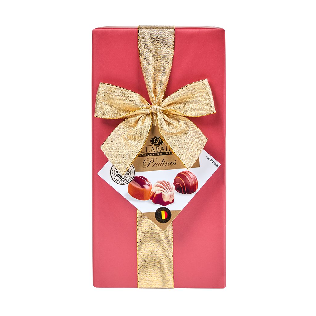 DELAFAILLE Christmas Wrapped Praline Box 100g | The Warehouse