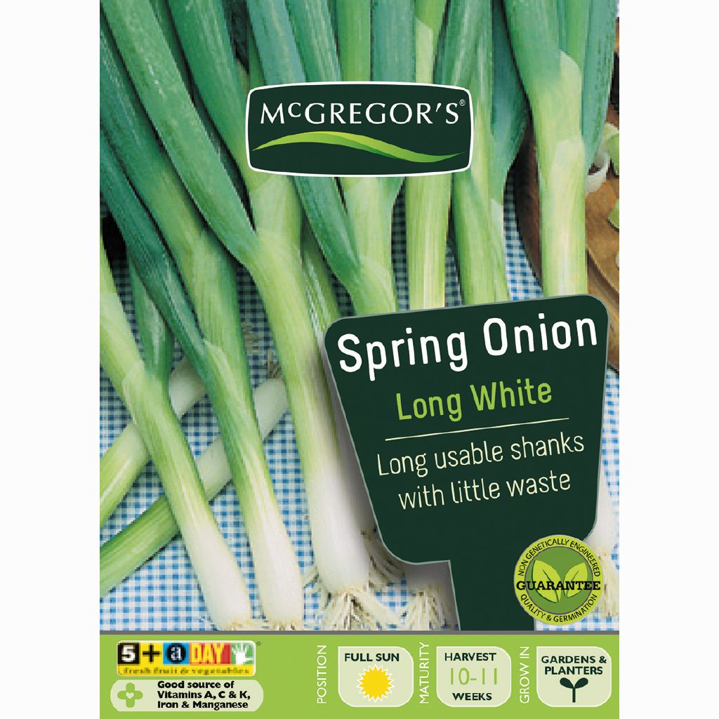 McGregor's Long White Spring Onion Vegetable Seeds | The Warehouse