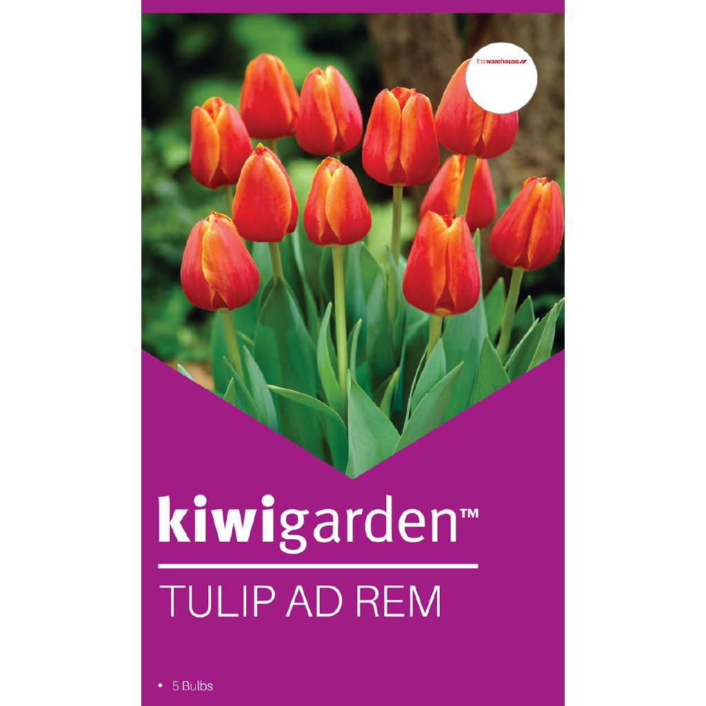 Kiwi Garden Tulip Ad Rem 5 bulbs | The Warehouse