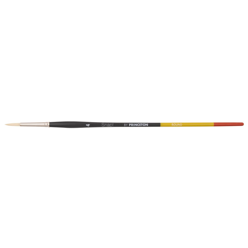 Princeton Snap Brush Long Handle Bristle Round 4 Multi-Coloured | The ...