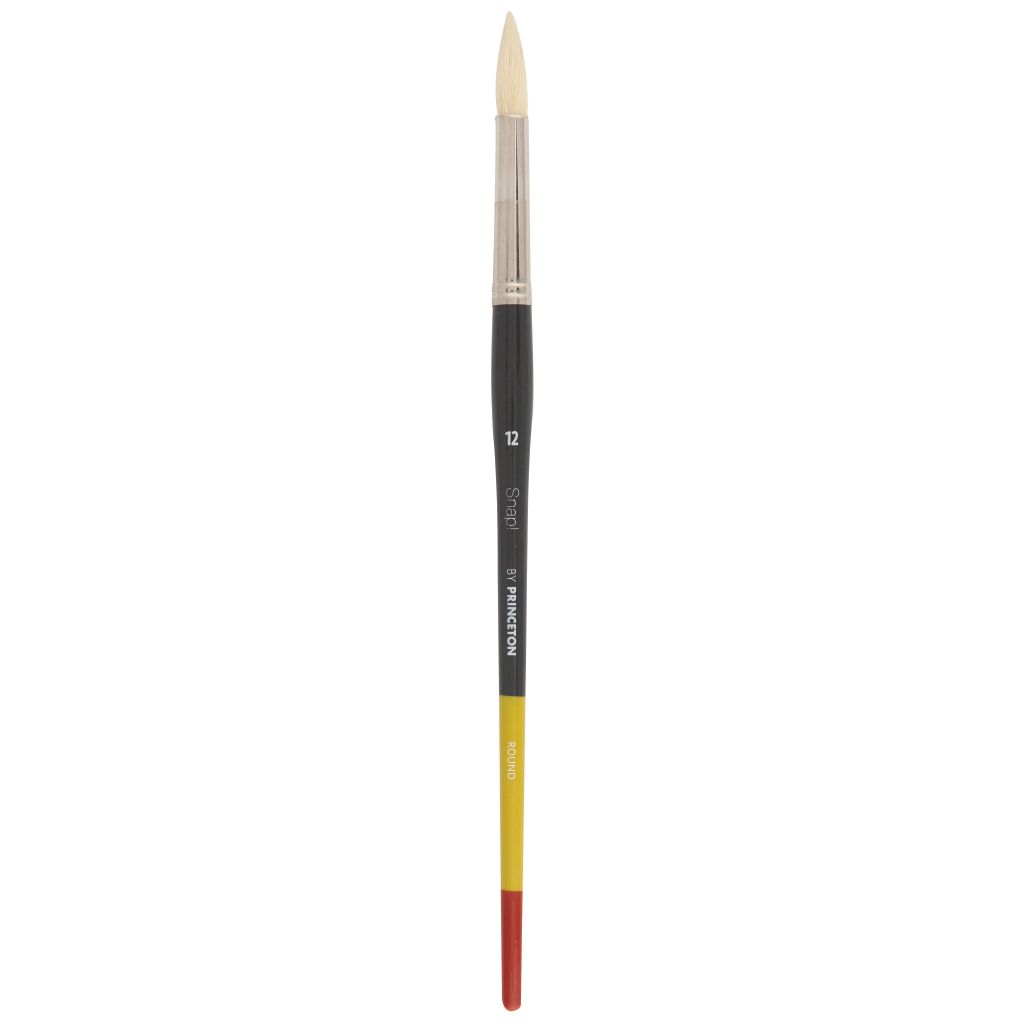 Princeton Snap Brush Long Handle Bristle Round 12 Multi-Coloured | The ...