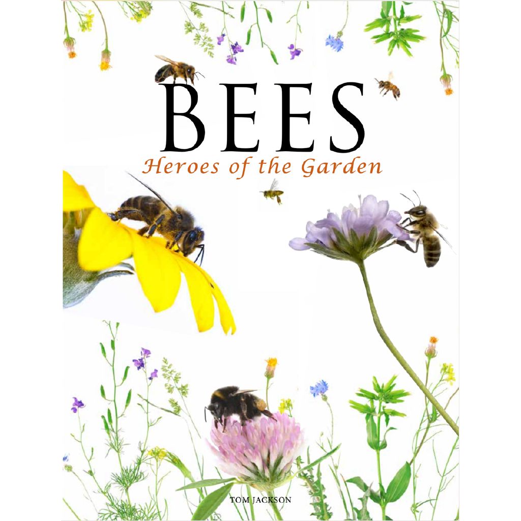 Bees by Tom Jackson | The Warehouse