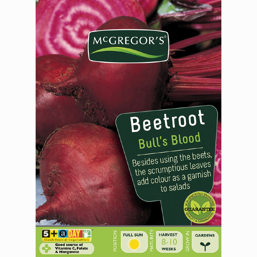 McGregor's Bullsblood Beetroot Vegetable Seeds | The Warehouse