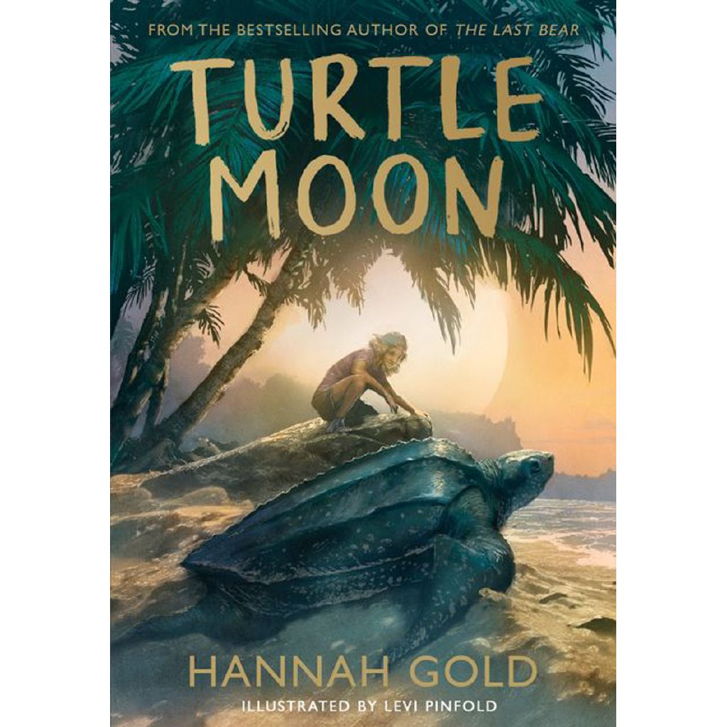 Turtle Moon by Hannah Gold | The Warehouse