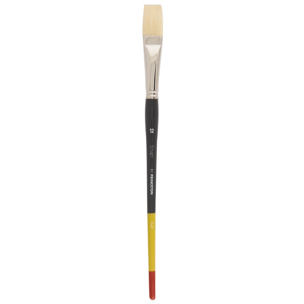 Princeton Snap Brush Long Handle Bristle Flat 12 Multi-Coloured | The ...