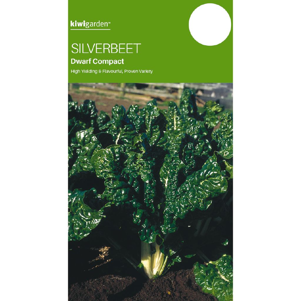 Kiwi Garden Silverbeet Dwarf Compact Seeds | The Warehouse